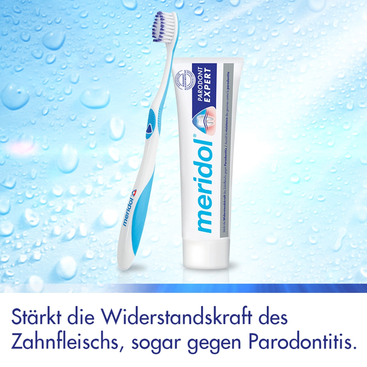 Meridol Periodont Expert Toothpaste