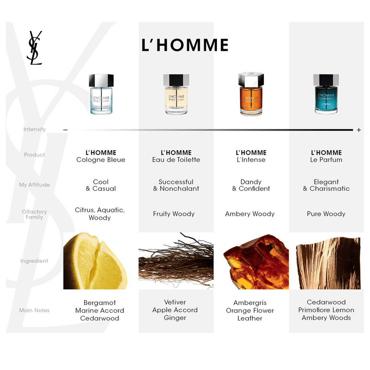 L'Homme Le Parfum Eau de Parfum