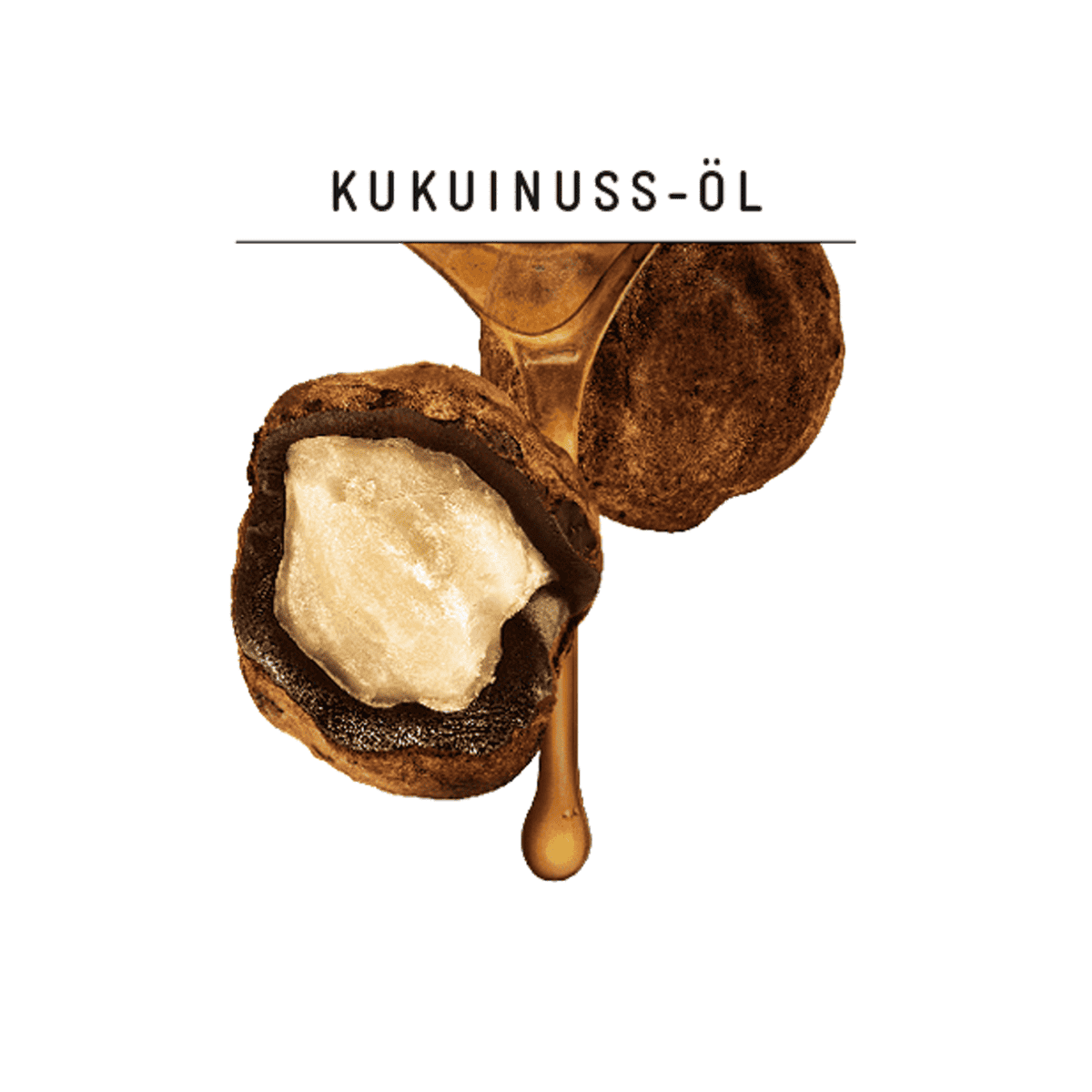 Guhl • Braun Faszination Shampoo Mini