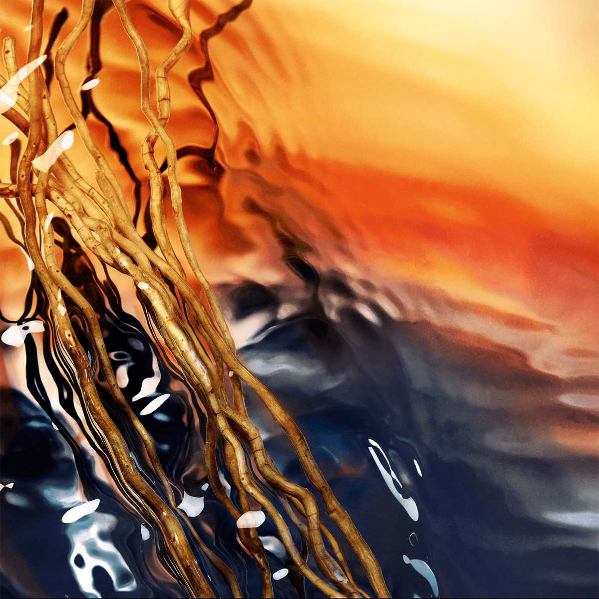 Man Reborn Eau de Parfum