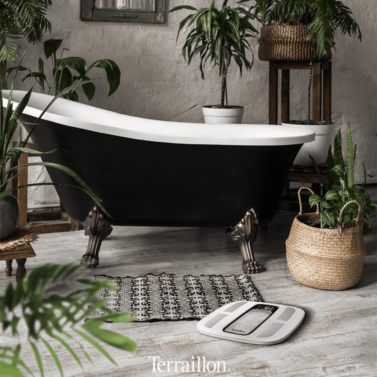 Terraillon - Window Coach