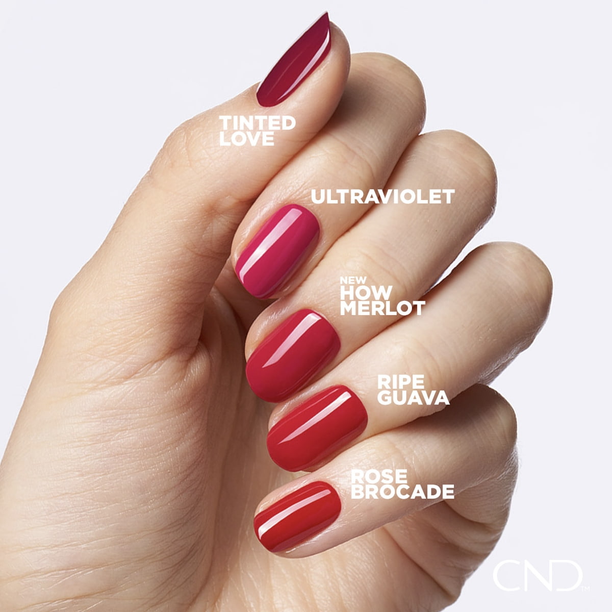 CND • Ultraviolet Prismatic • haar-shop.ch