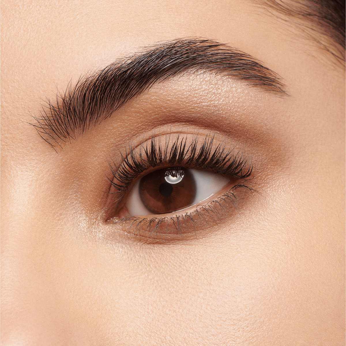 Clarins Ombre 4 Couleurs 08 Amber Gradation Eyeshadow Palette