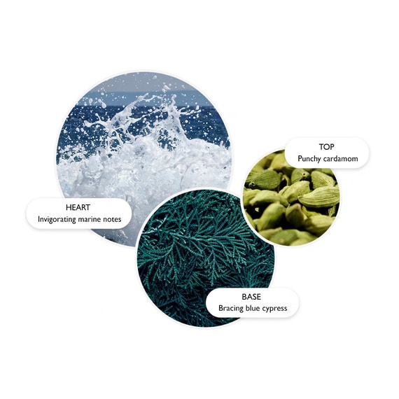 Molton Brown • Lozione per le Mani • haar-shop.ch