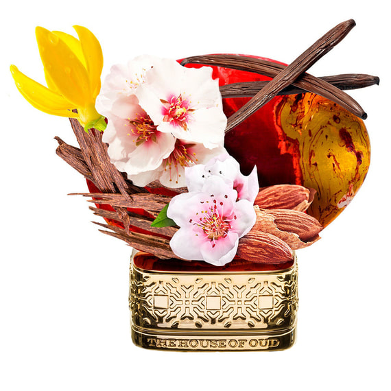 Almond Harmony Eau de Parfum 75 ml • THoO • haar-shop.ch