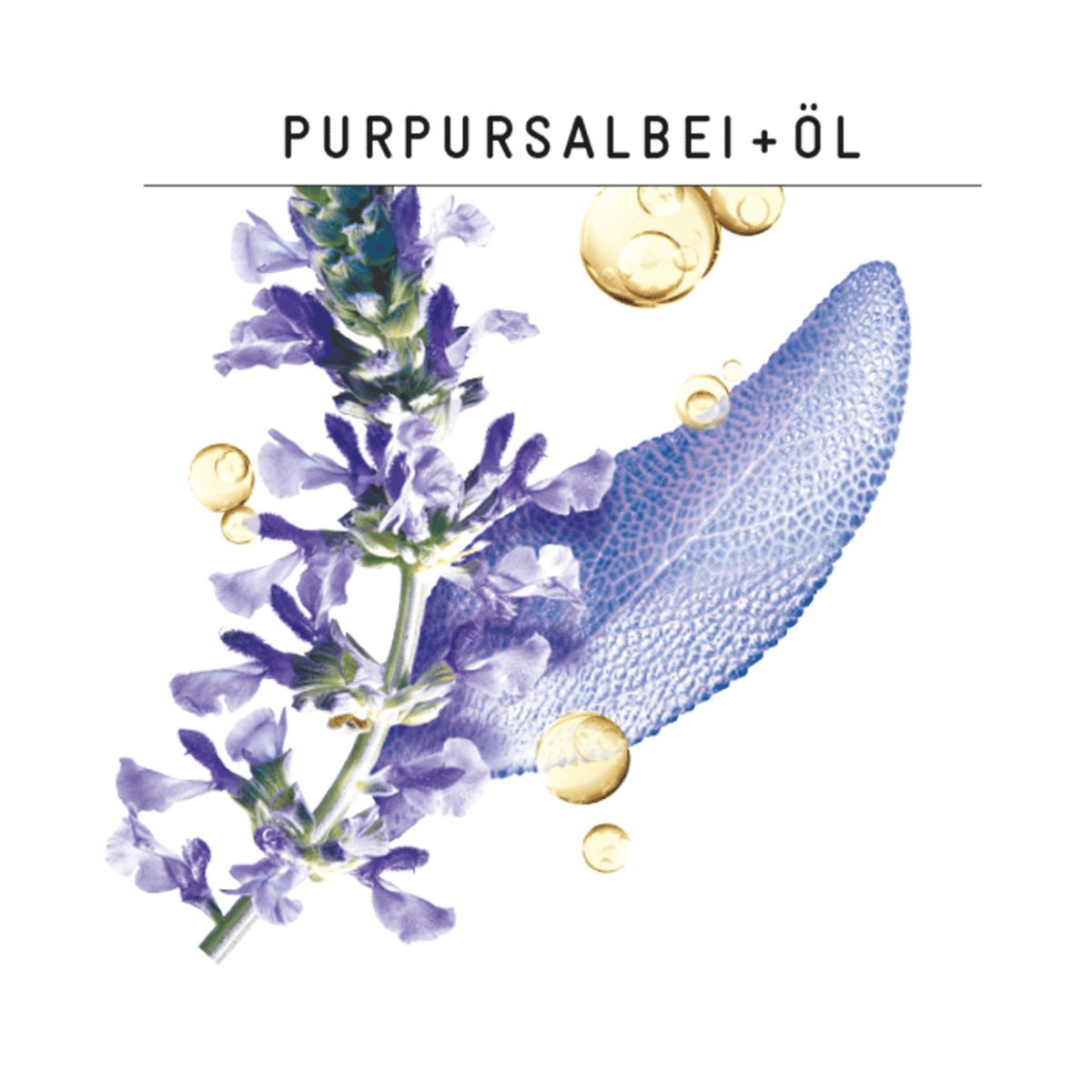 Guhl Silberglanz & Pflege Shampoo Mini • Haarpflege für glänzendes Haar