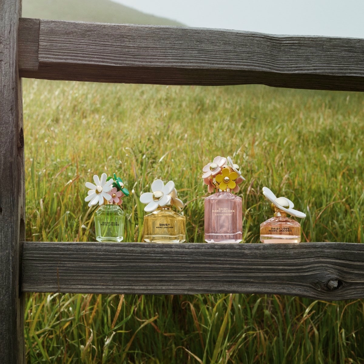 Marc Jacobs Daisy Wild Eau de Parfum • Daisy Fragrance • haar-shop.ch