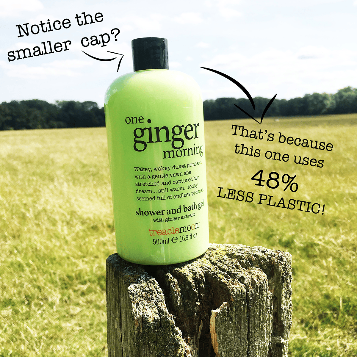 Treaclemoon - One Ginger Morning Mini Shower