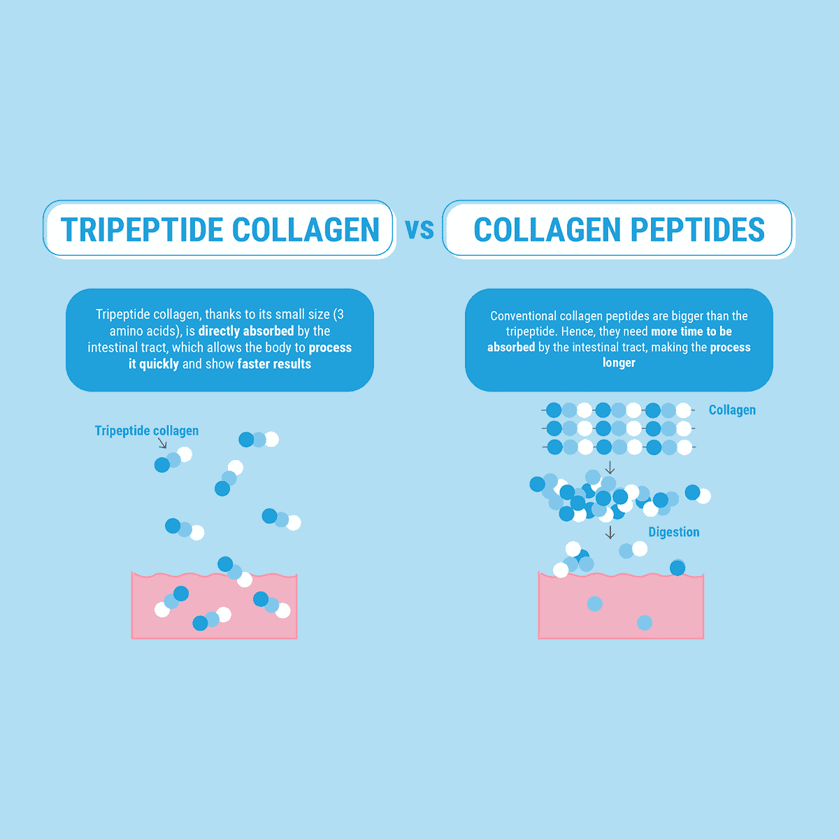 Collamin • Natur'Beauty Tripeptid-Collagen 360g