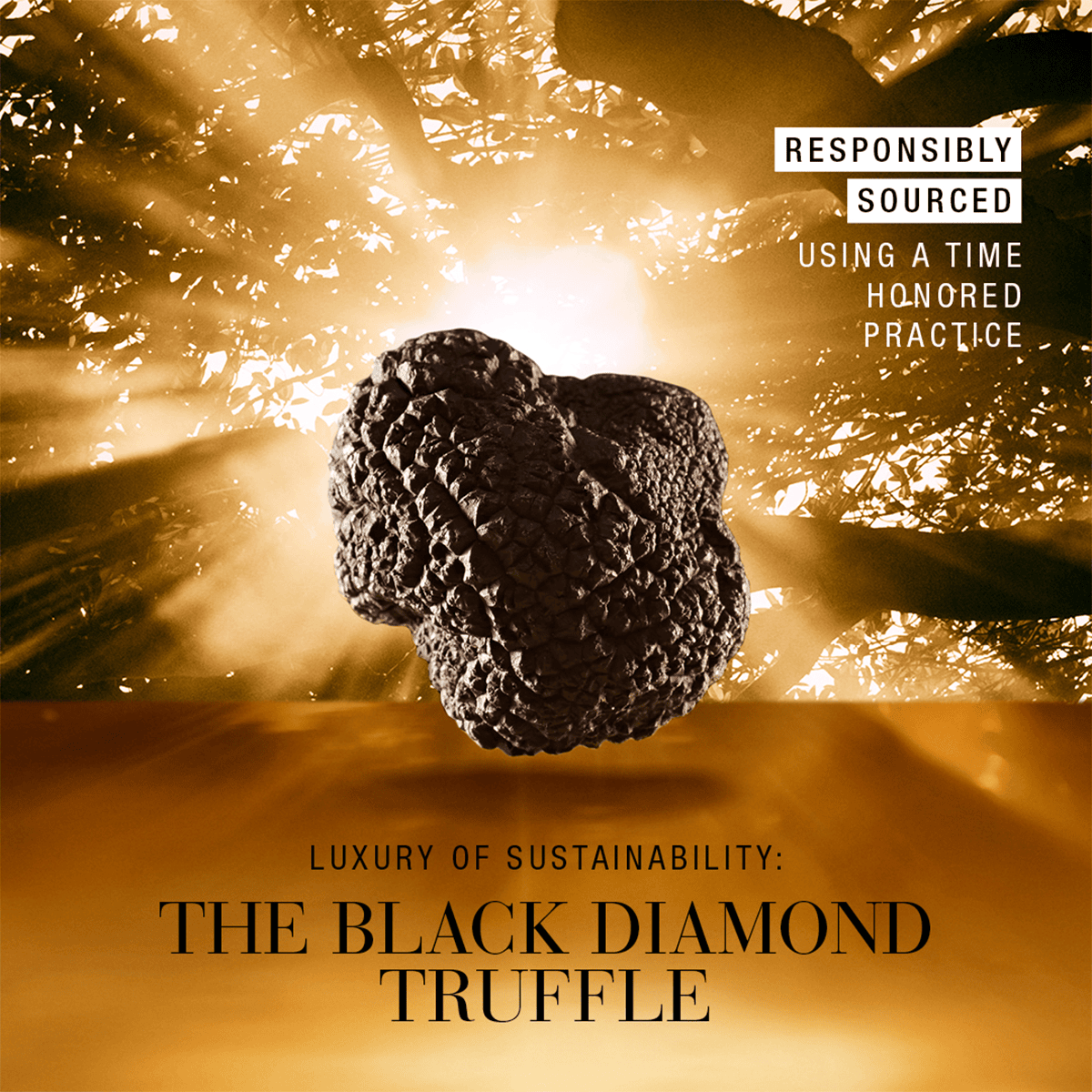 Estée Lauder • Ultimate Diamond Sculpted Transformation Cream • haar ...