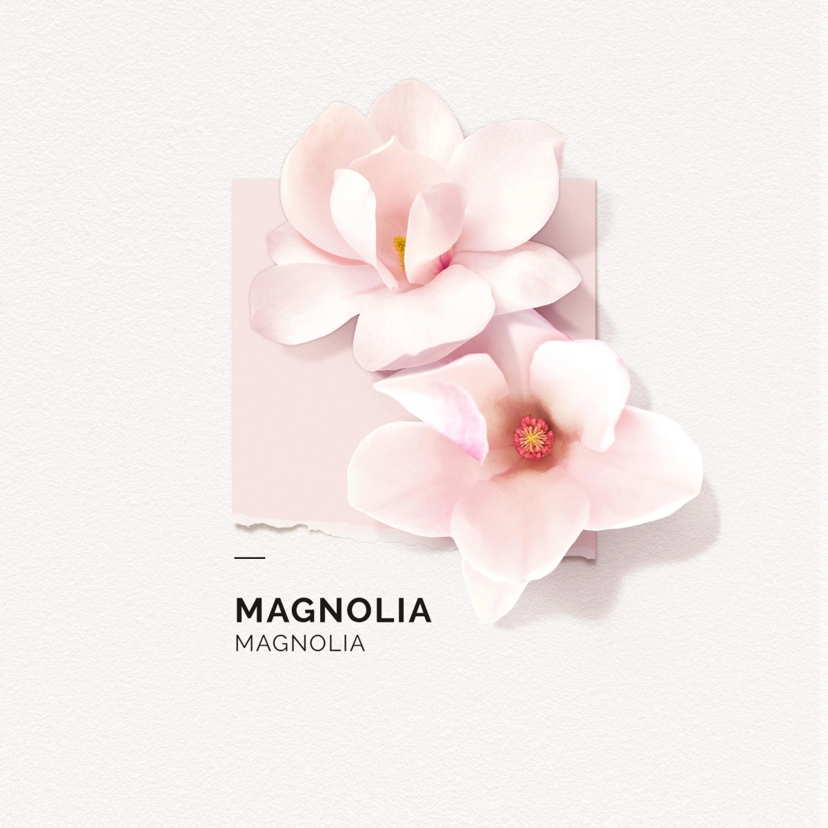 Solinotes • Eau de Parfum Magnolia 50 ml • haar-shop.ch