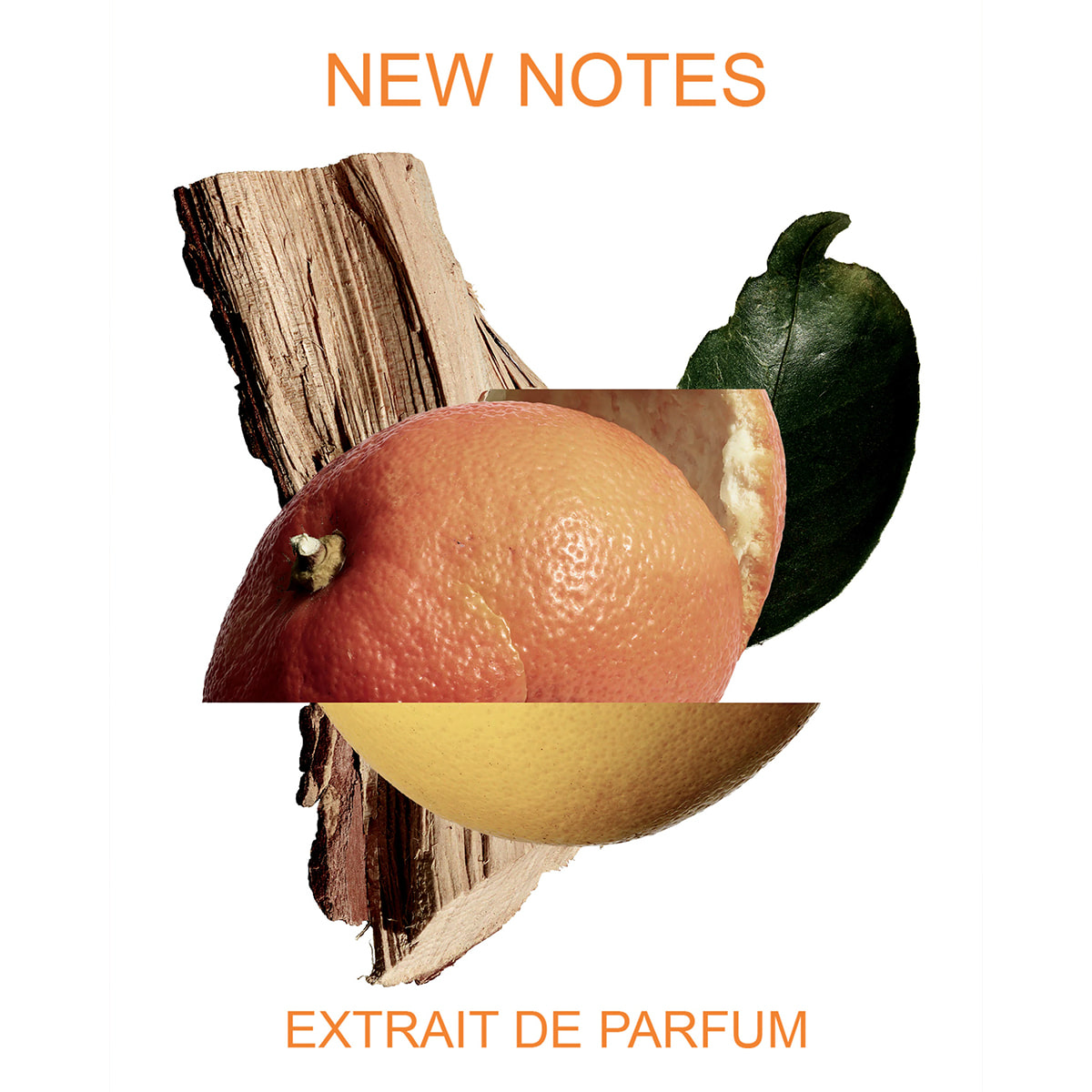 Akigala Mandarino Extrait de Parfum 50 ml • New Notes