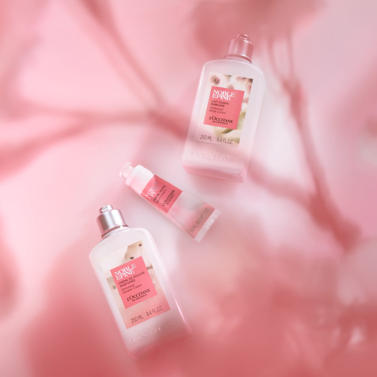 L'Occitane - Noble Épine Body Milk • haar-shop.ch