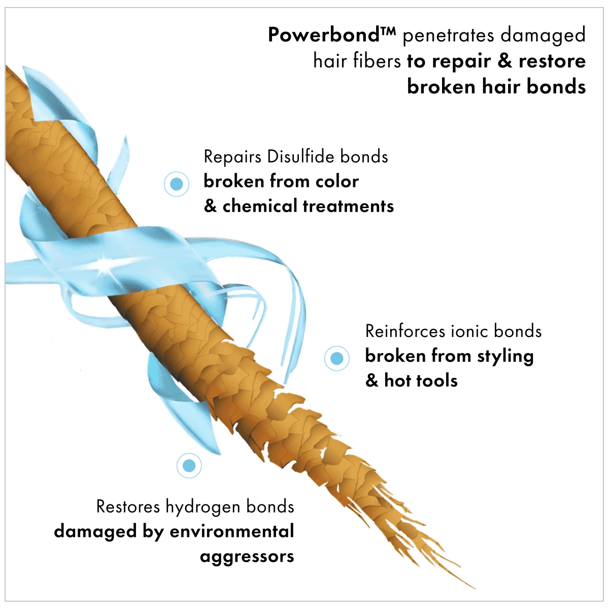 Super Strength Protein Power Bond Shampoo