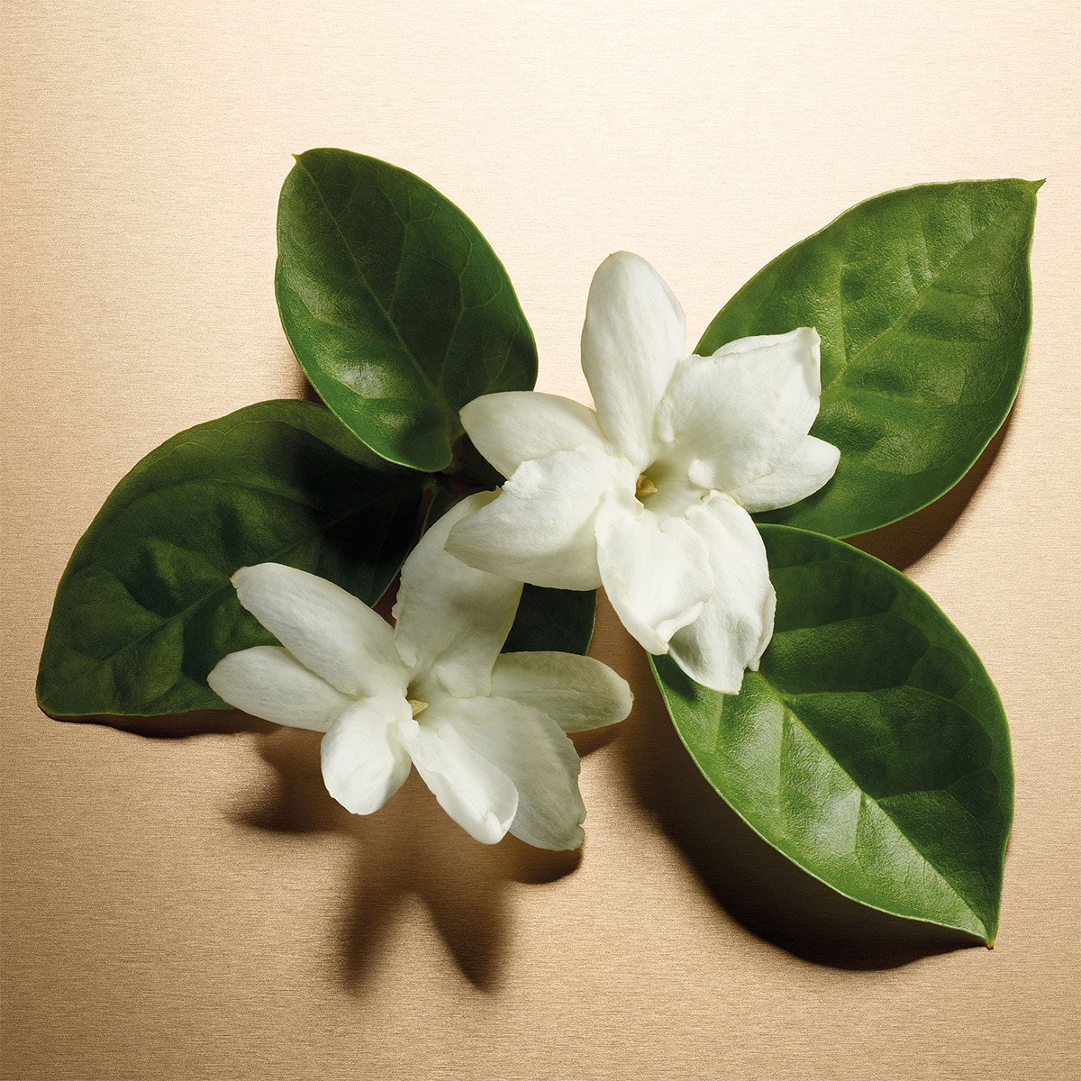 Eau de Parfum Natural Spray