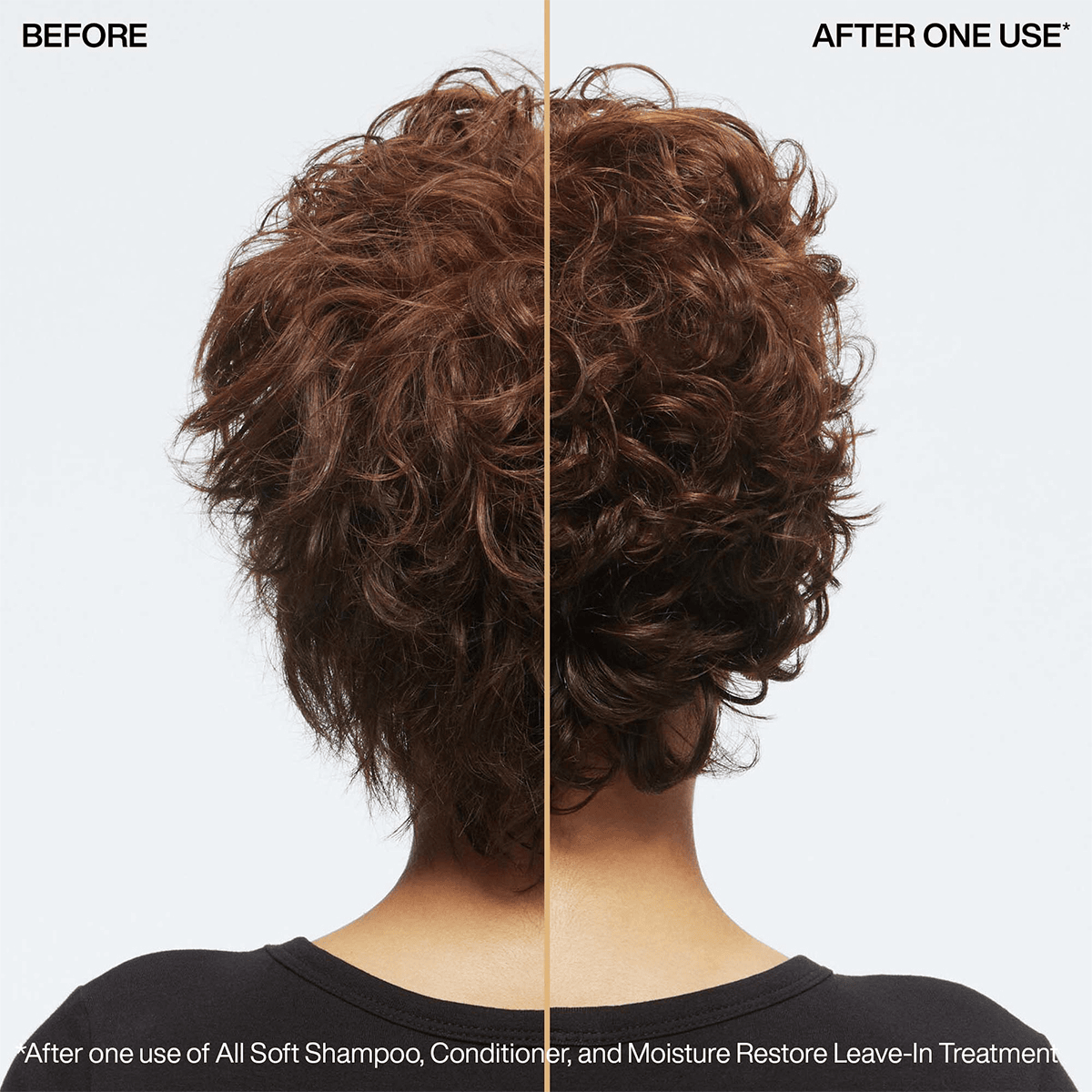 Redken • Moisture Restore Leave-in Treatment