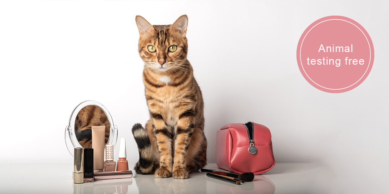 Cosmetics free from animal testing • Discover the range • haar-shop.ch